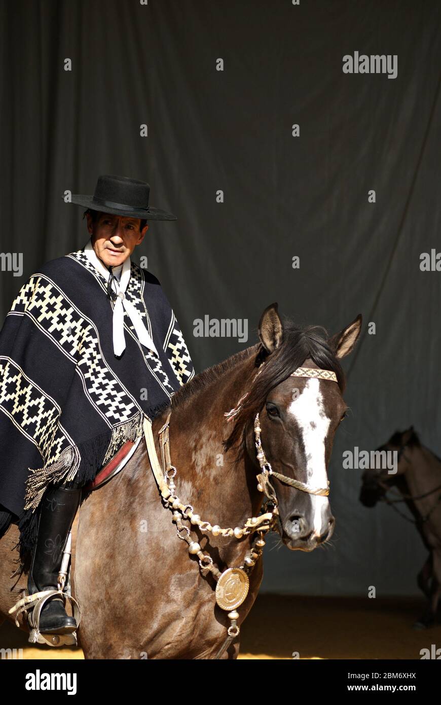 Gaucho in traditional outfit riding a criollo horse in the dark Stock ...