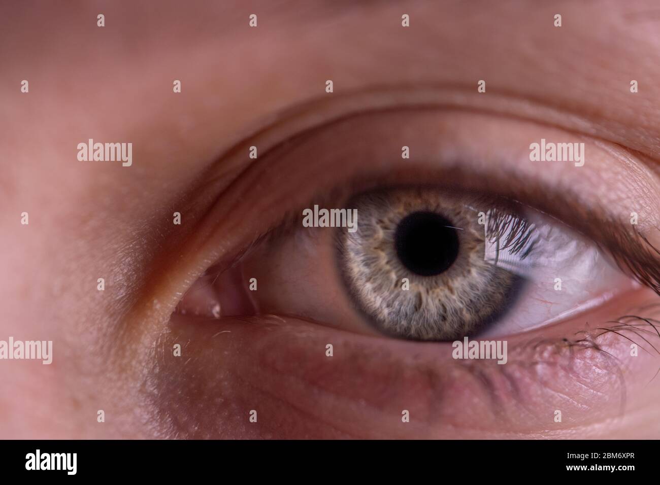 Human connection eye hi-res stock photography and images - Alamy