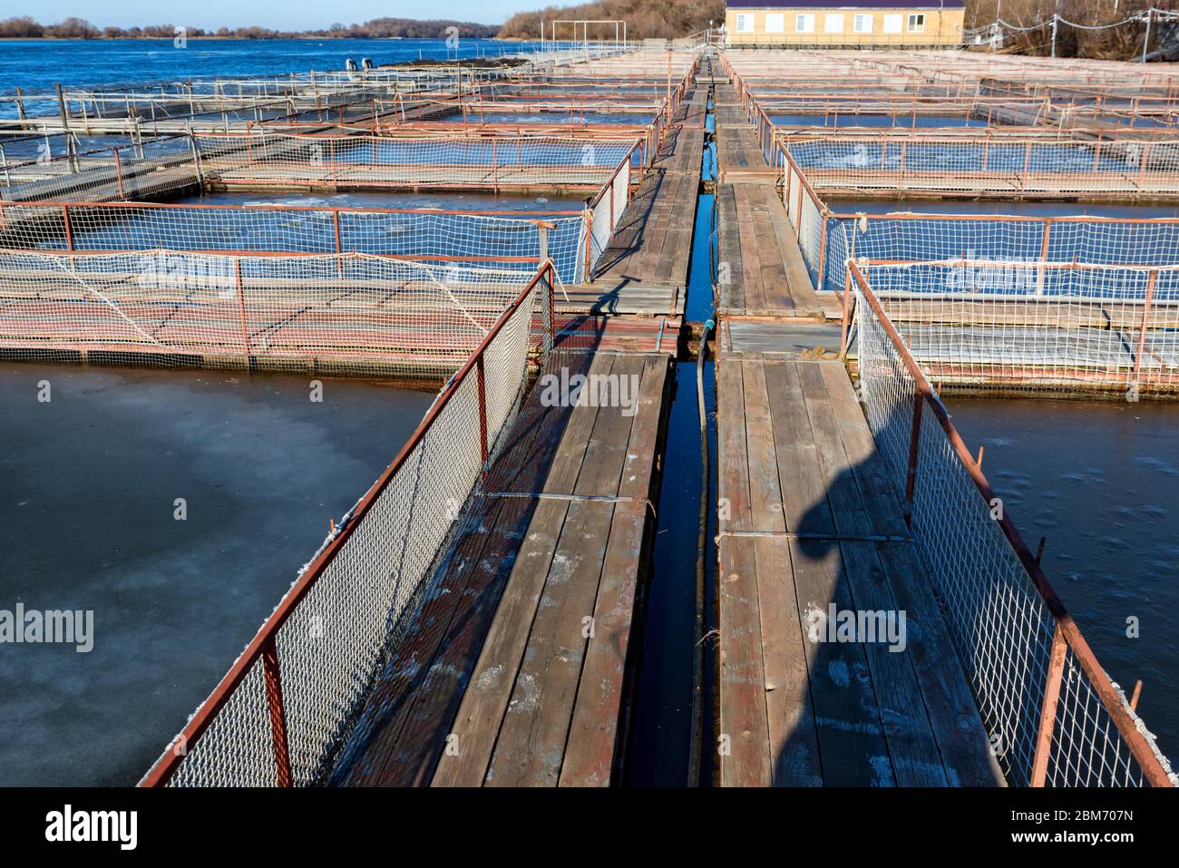 Fish farming project hi-res stock photography and images - Alamy