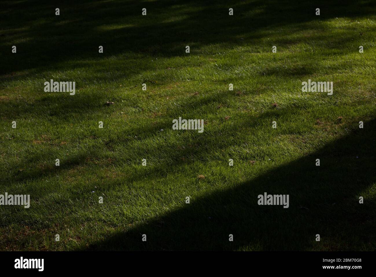 A close up of a grassy field with shadows being cast across the lawn ...