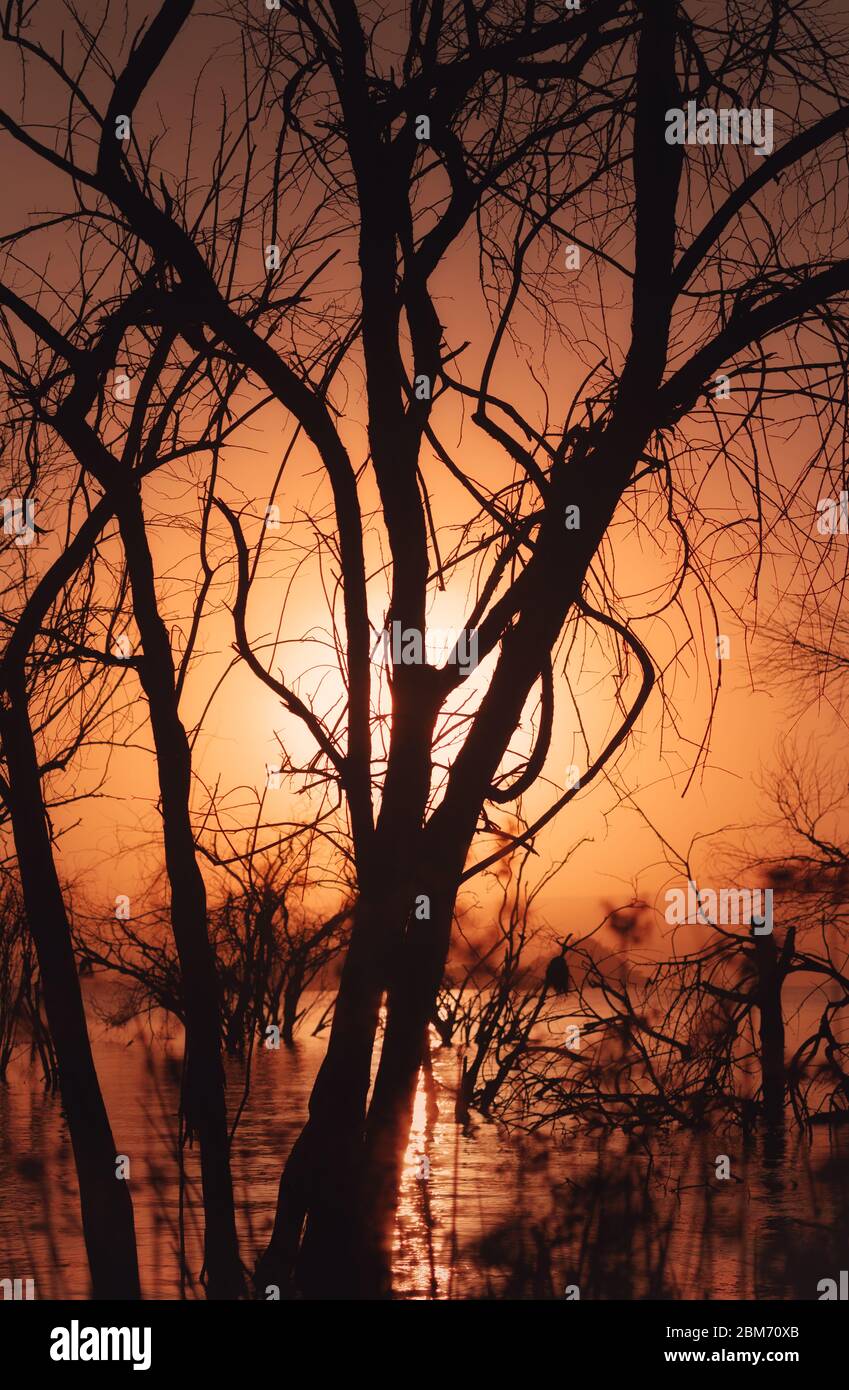 View of lake Baringo at sunrise in the Rift Valley in Kenya Stock Photo ...