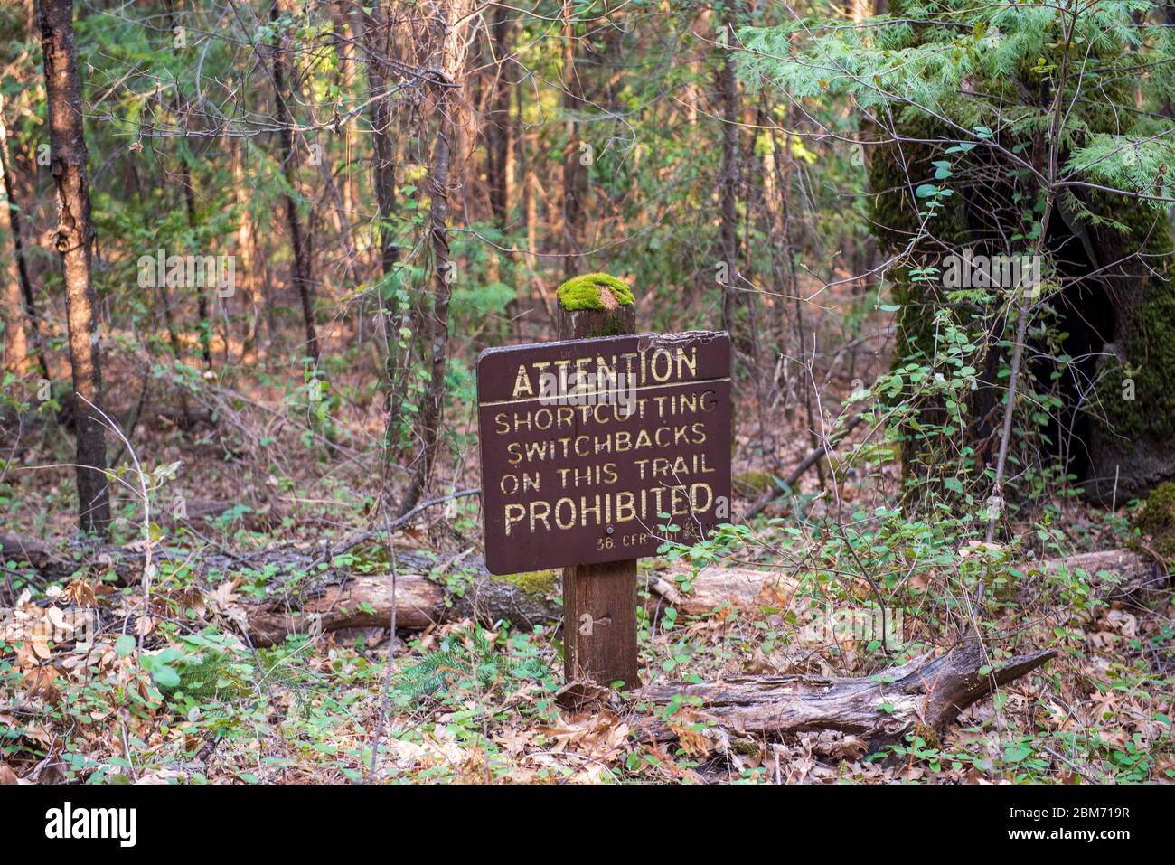 Sign on Feather Falls Loop Trail telling people to stay on the trail ...