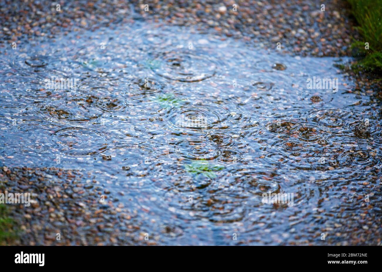 Closeup of raindrops falling into the surface of a puddle at rain Stock ...
