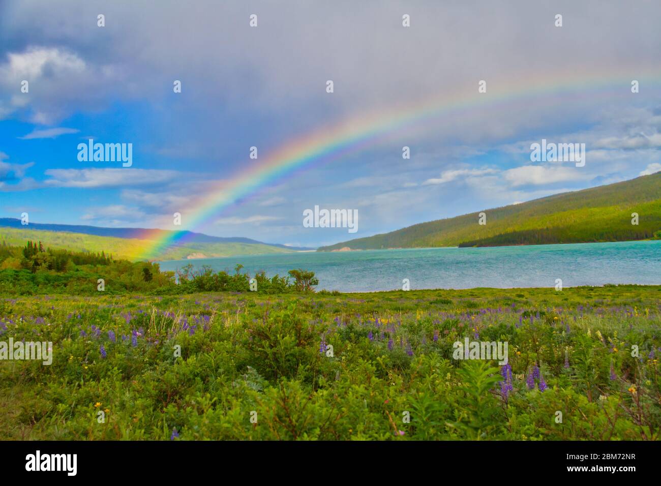 Over the rainbow oz hi-res stock photography and images - Alamy