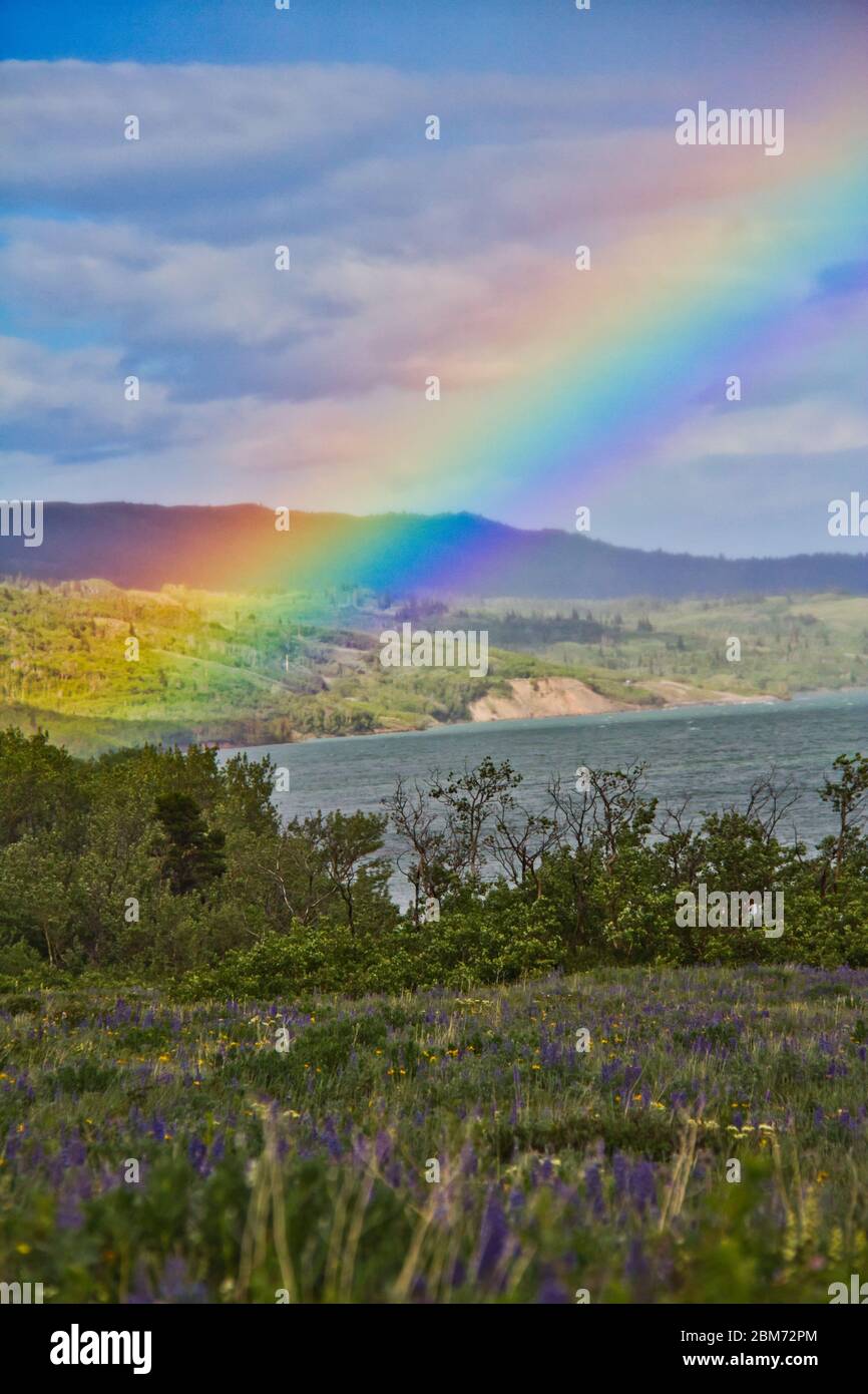 Over the rainbow oz hi-res stock photography and images - Alamy