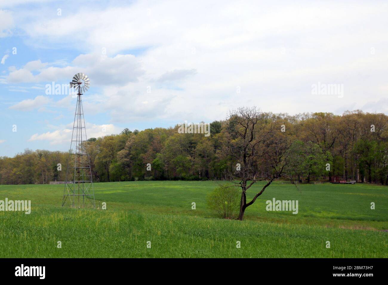 We can see it is a windy day at the farm Stock Photo - Alamy