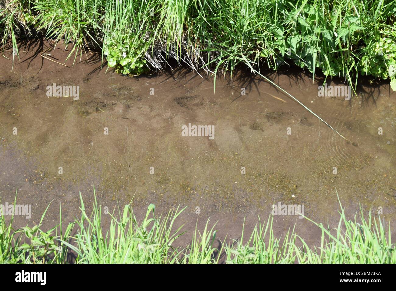 Spring running water hi-res stock photography and images - Alamy