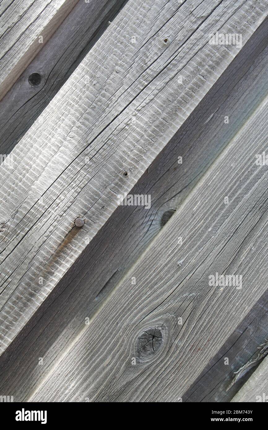 The texture of wooden boards with sun flare. Wooden wall Stock Photo ...