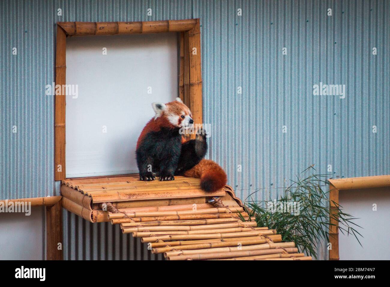 Indoor Enclosure High Resolution Stock Photography and Images - Alamy