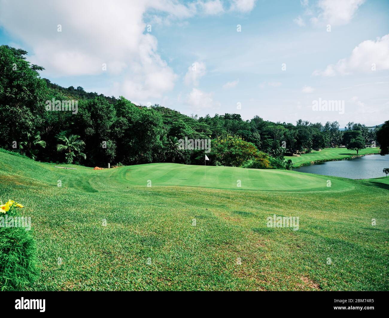 Lush green golf course Stock Photo - Alamy
