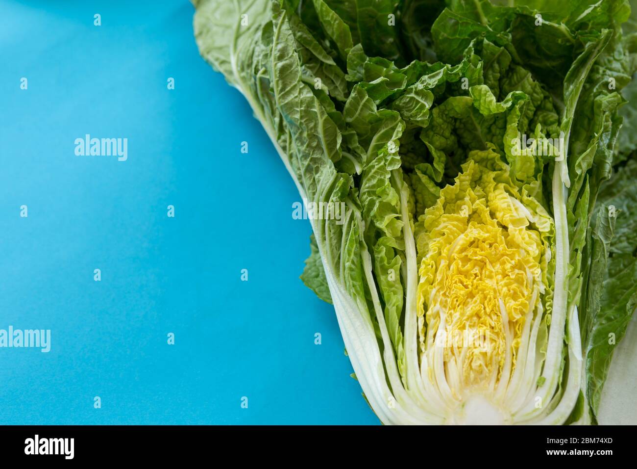 Sliced chinese cabbage close up on a blue background with copy space ...