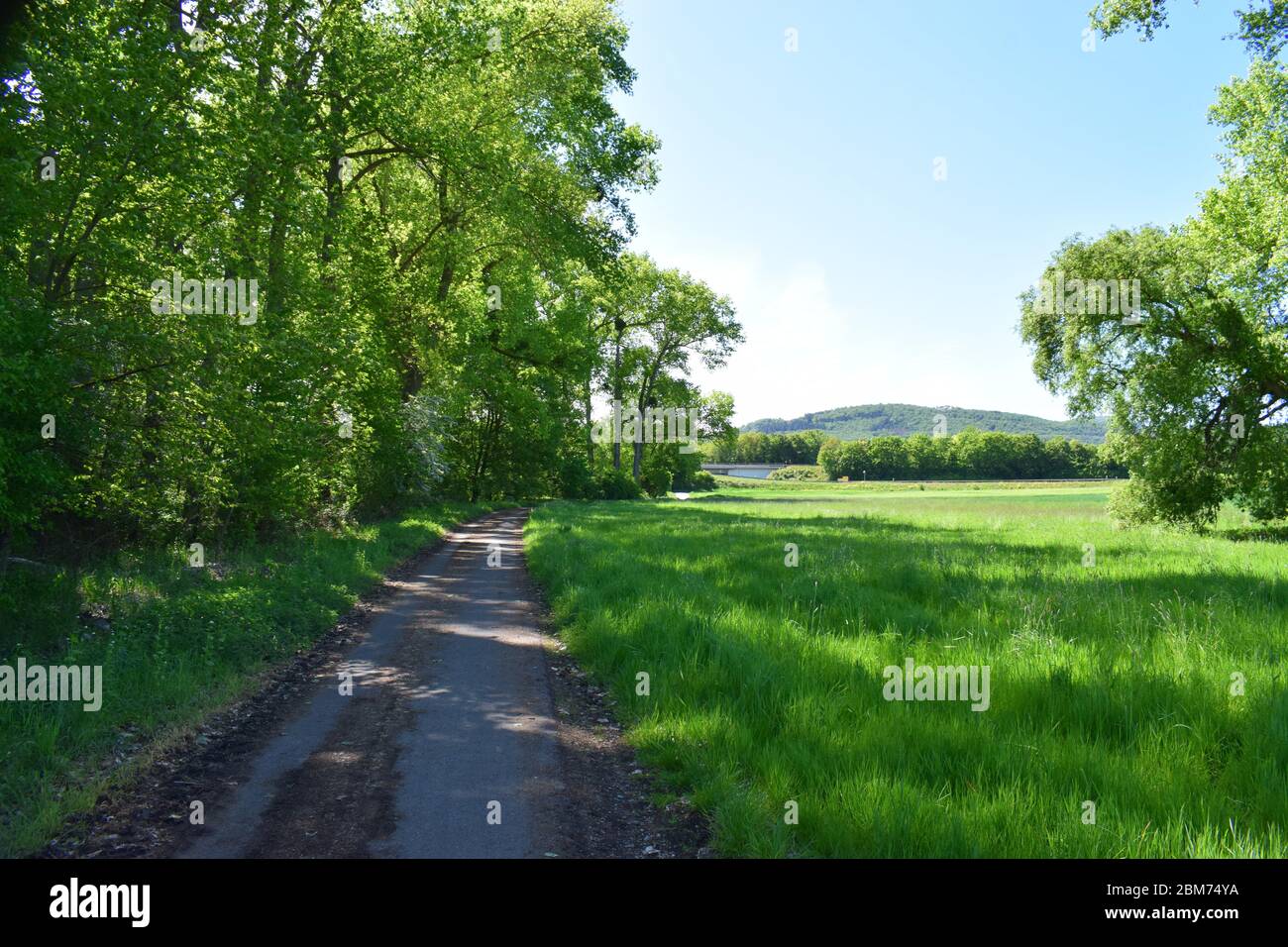 small country road in the swampland of the Eifel Stock Photo - Alamy