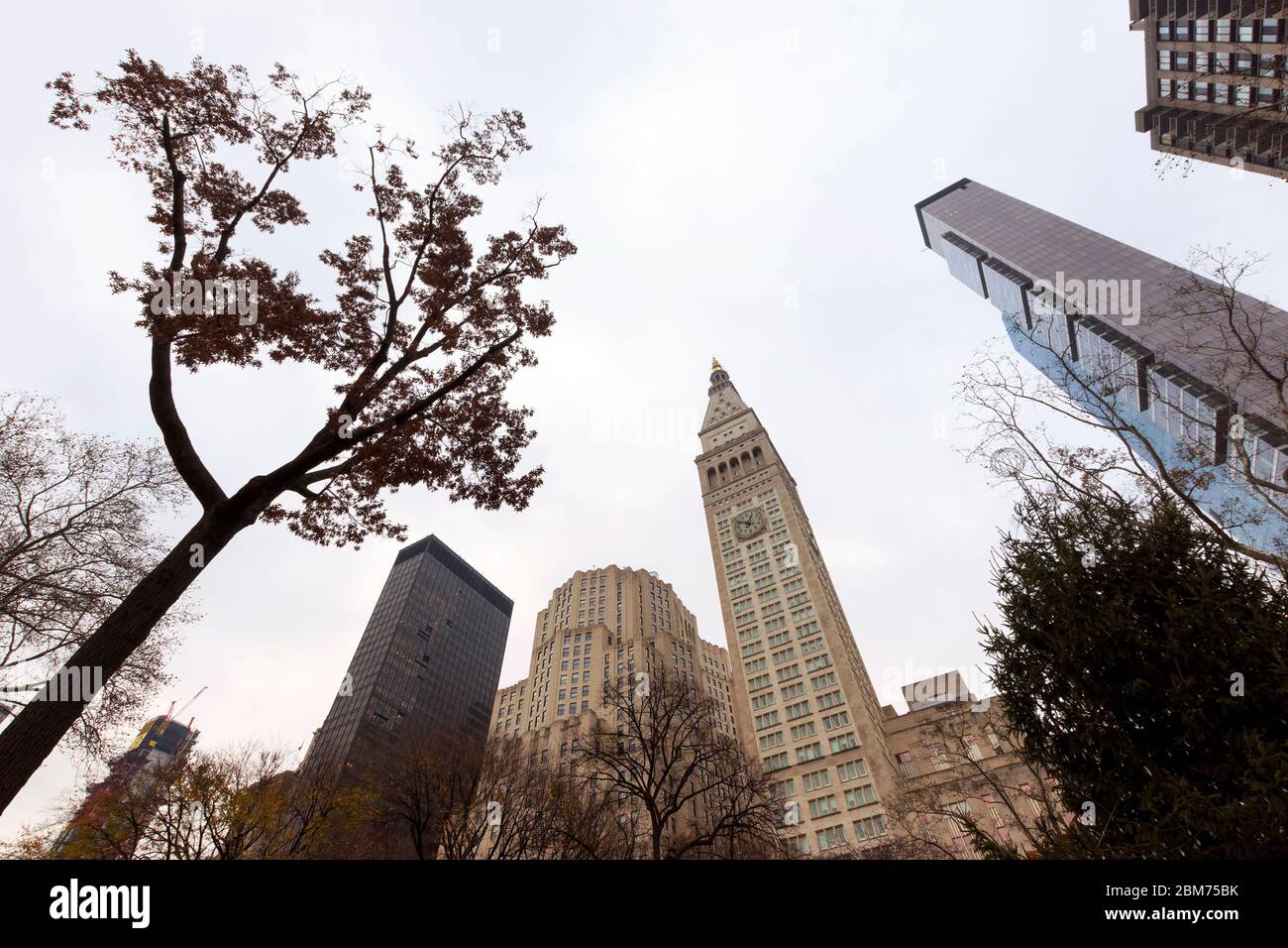 Building architecture and trees in Flatiron neighborhood, Manhattan ...
