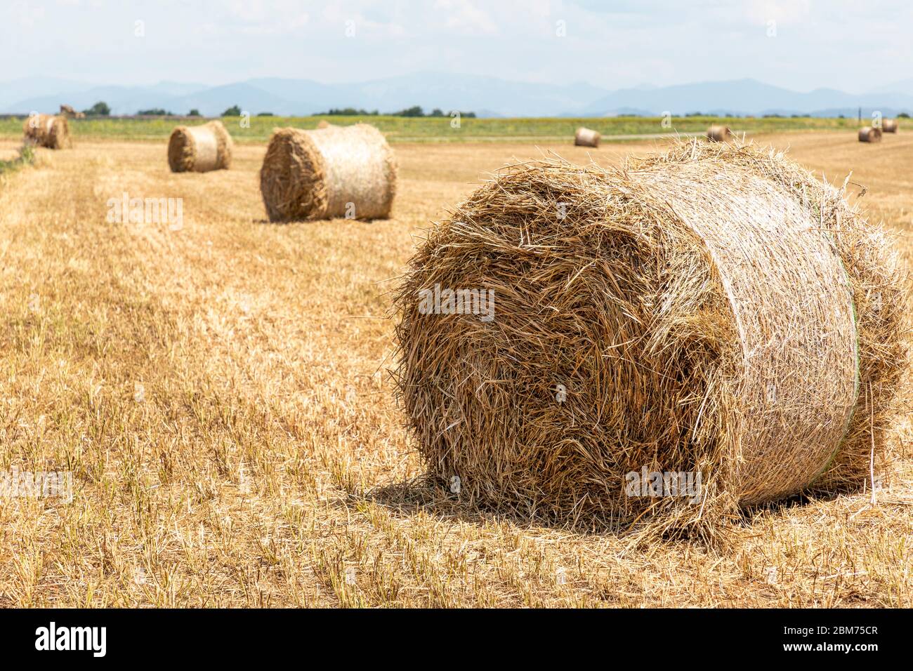 Heuballen hi-res stock photography and images - Alamy
