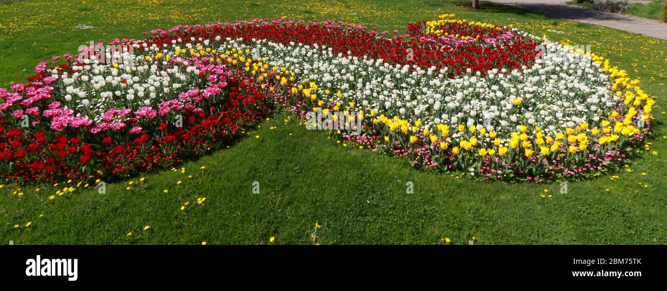 Spiral of flowers hi-res stock photography and images - Alamy