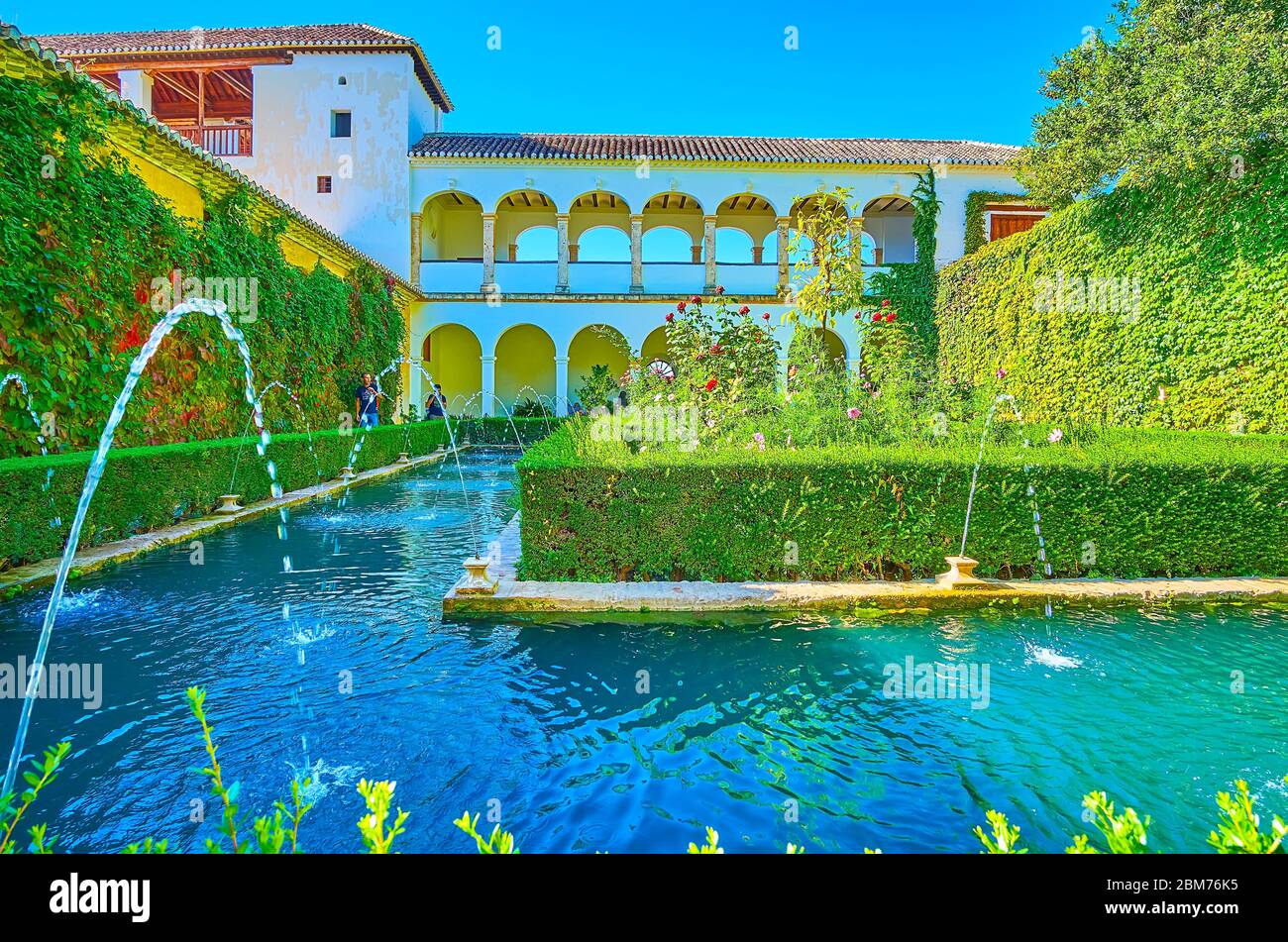 Court of sultanas cypress tree hi-res stock photography and images - Alamy