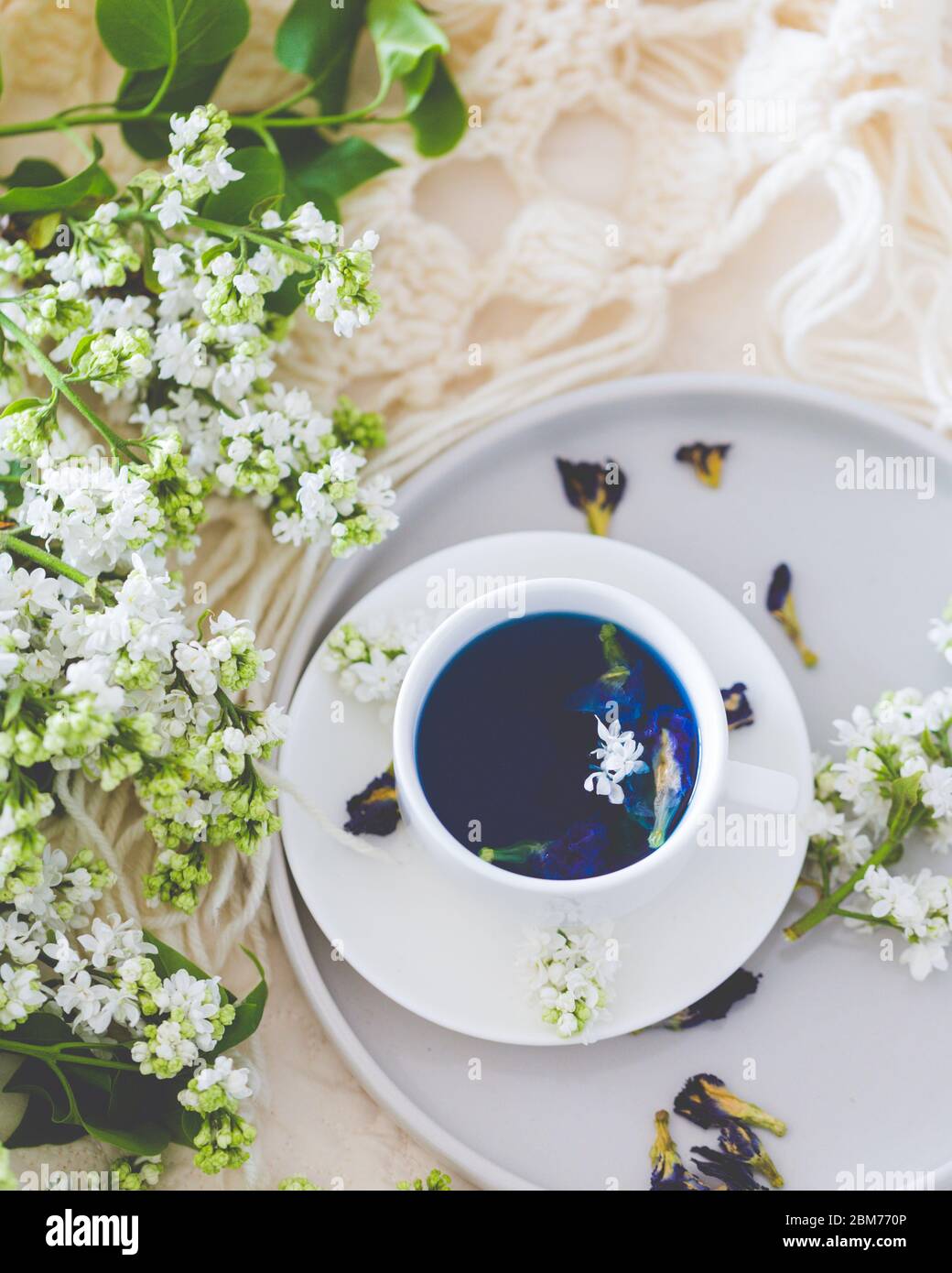 Cup of Butterfly pea tea (pea flowers, blue pea) for healthy drinking ...
