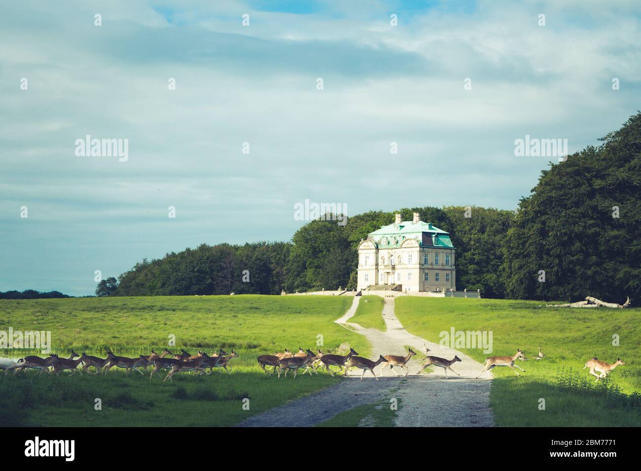 Dyrehaven park copenhagen hi-res stock photography and images - Alamy