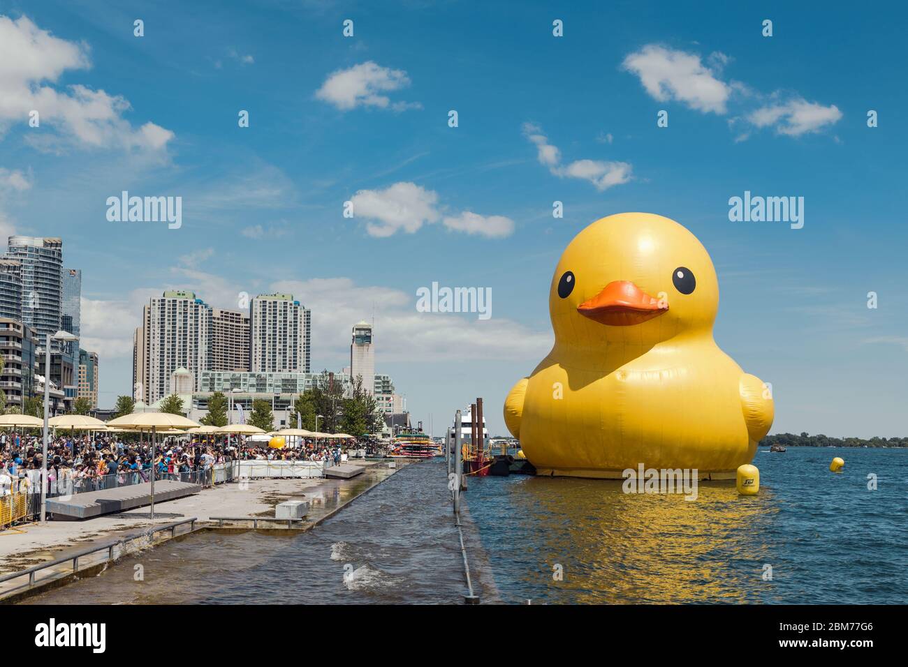 Giant yellow rubber duck sculpture, Toronto, Lake Ontario Stock Photo ...