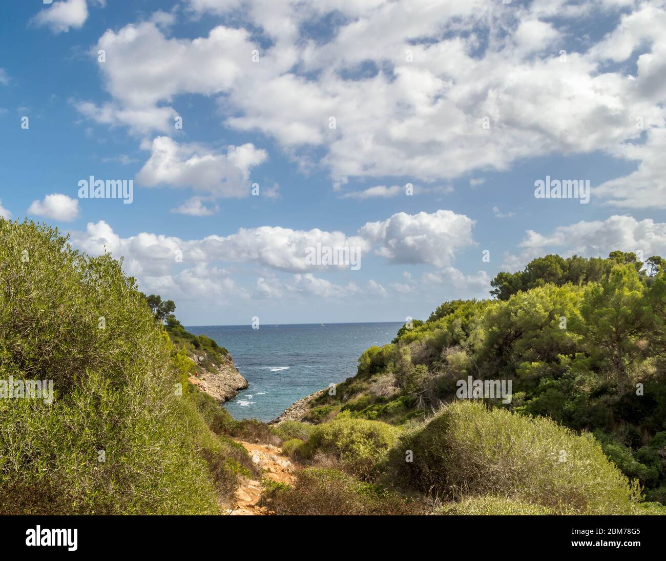 A beautiful landscape with a port from Palma de Mallorca Stock Photo ...