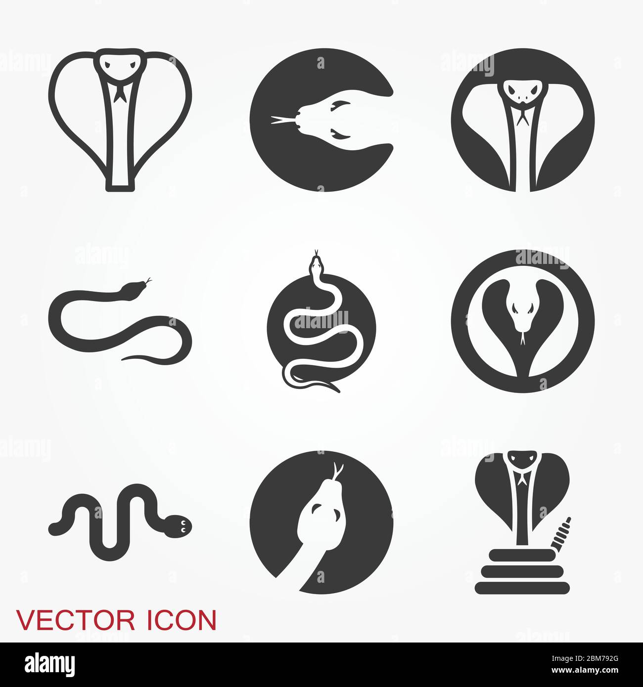 Snake vector icon, animal symbol isolated on background Stock Vector ...