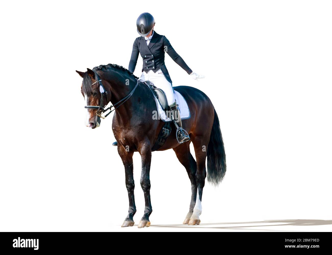 Equestrian sport - dressage rider portrait isolated on white Stock ...