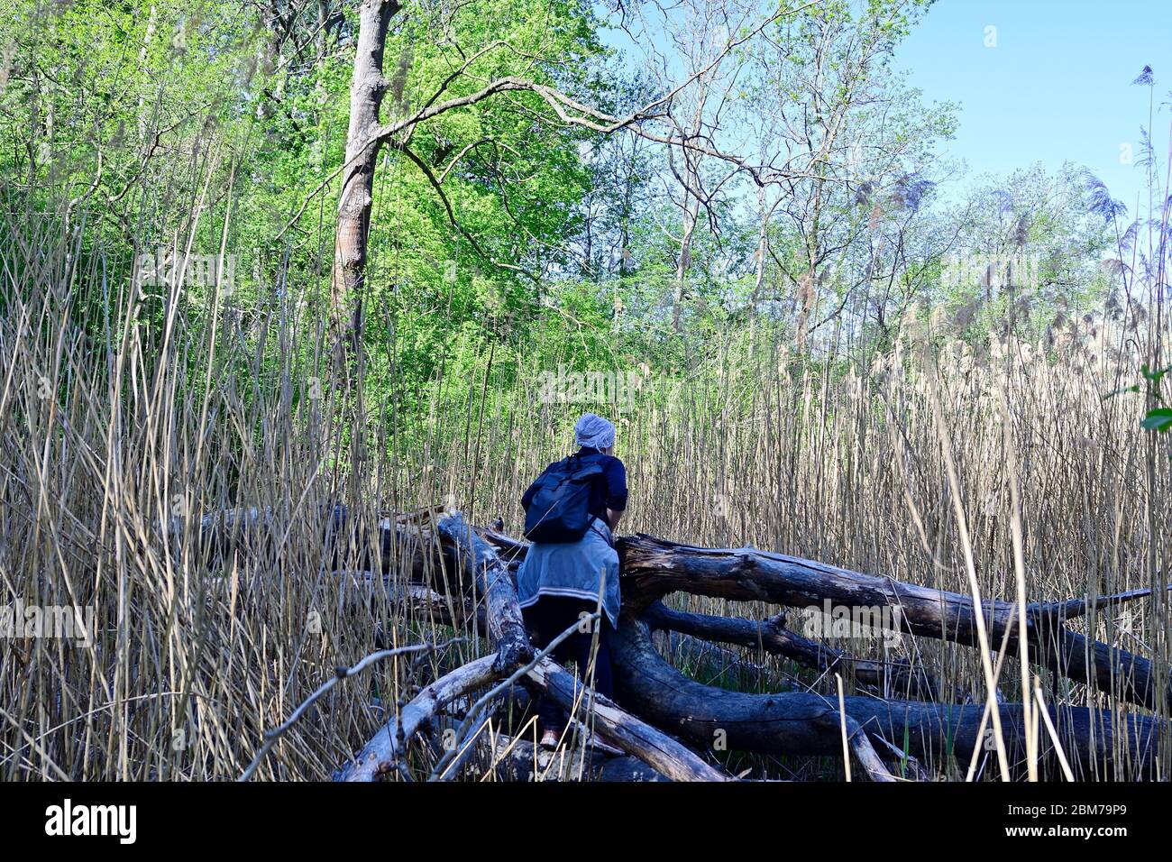Recreation area donau auen hi-res stock photography and images - Alamy