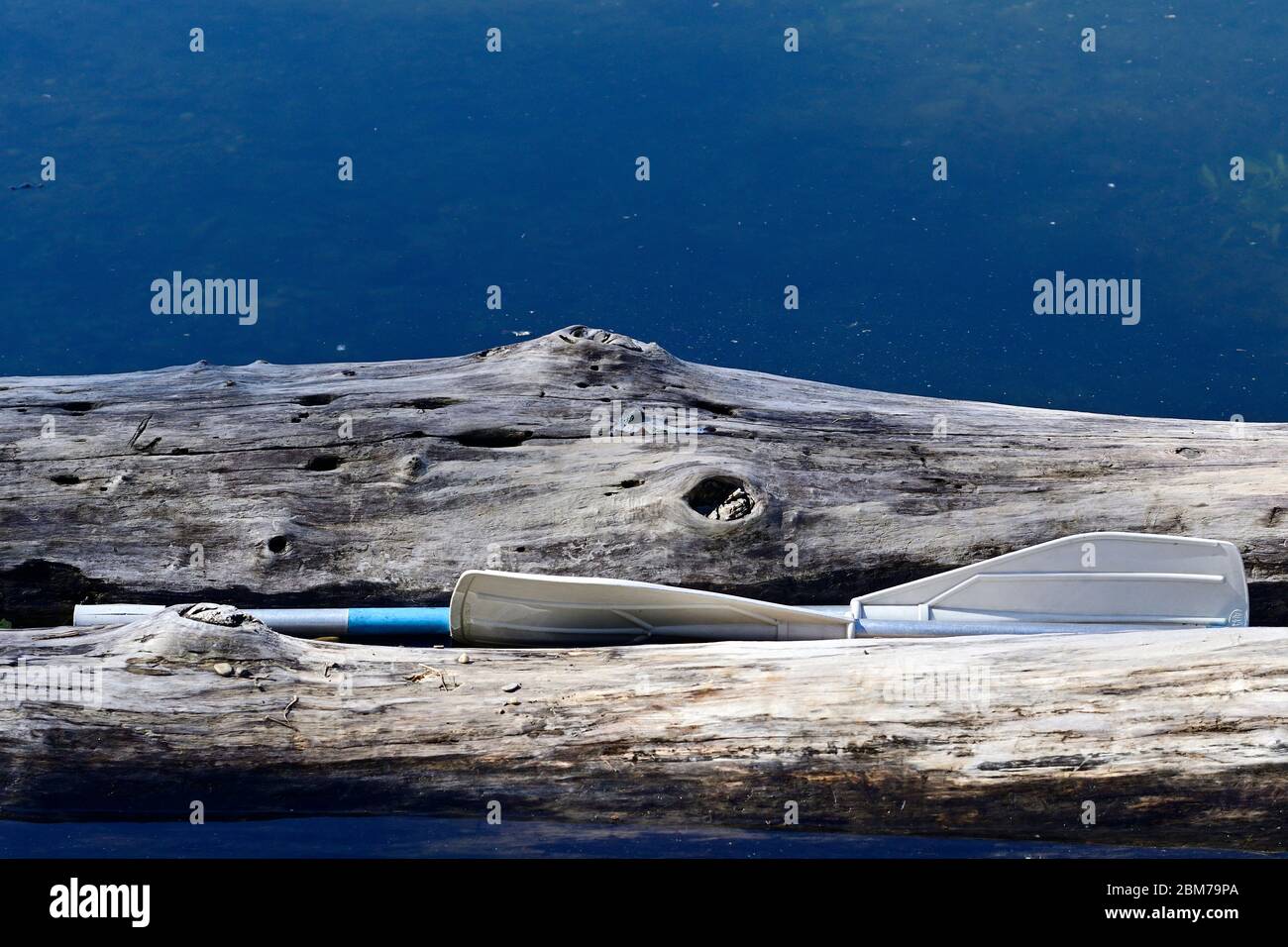 Vienna, Austria. Nationalpark Donau-Auen, the Lobau Stock Photo - Alamy