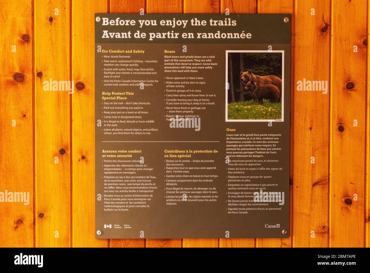 Trans canadian bear hi-res stock photography and images - Alamy
