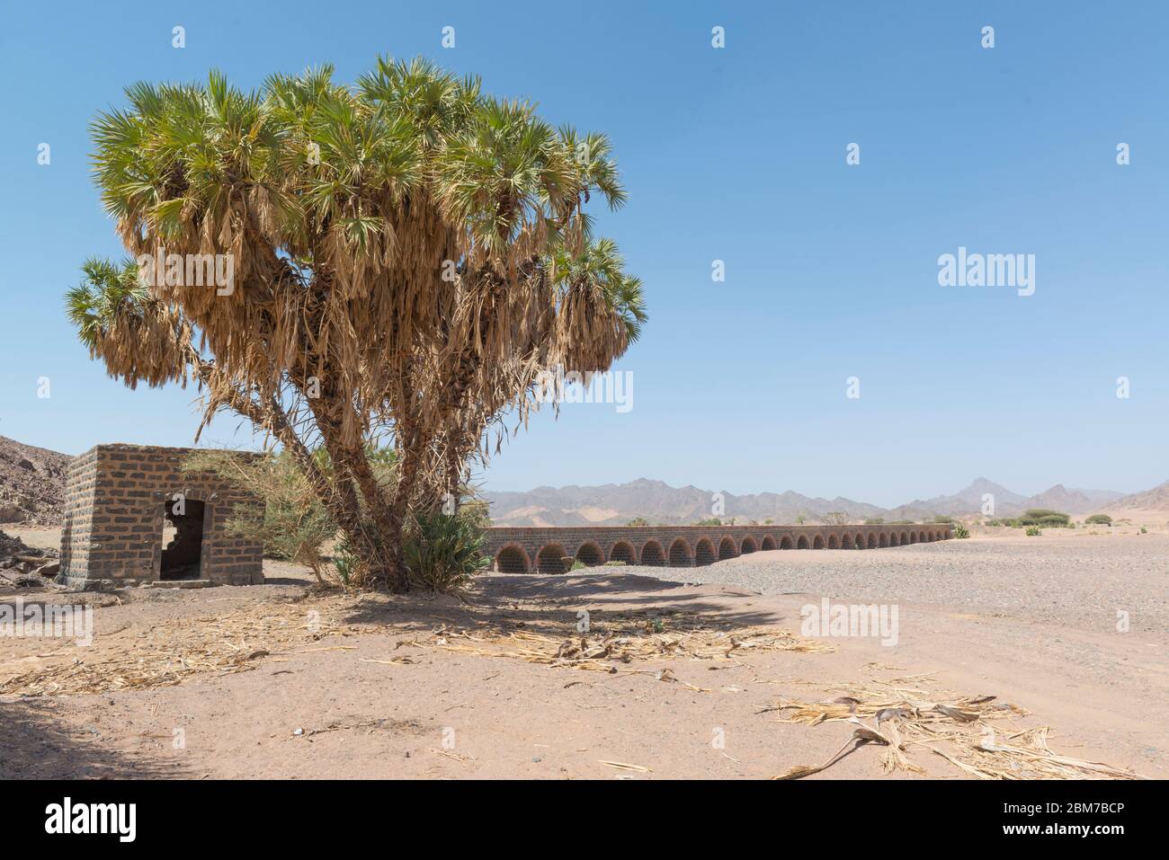 Hejaz desert hi-res stock photography and images - Alamy