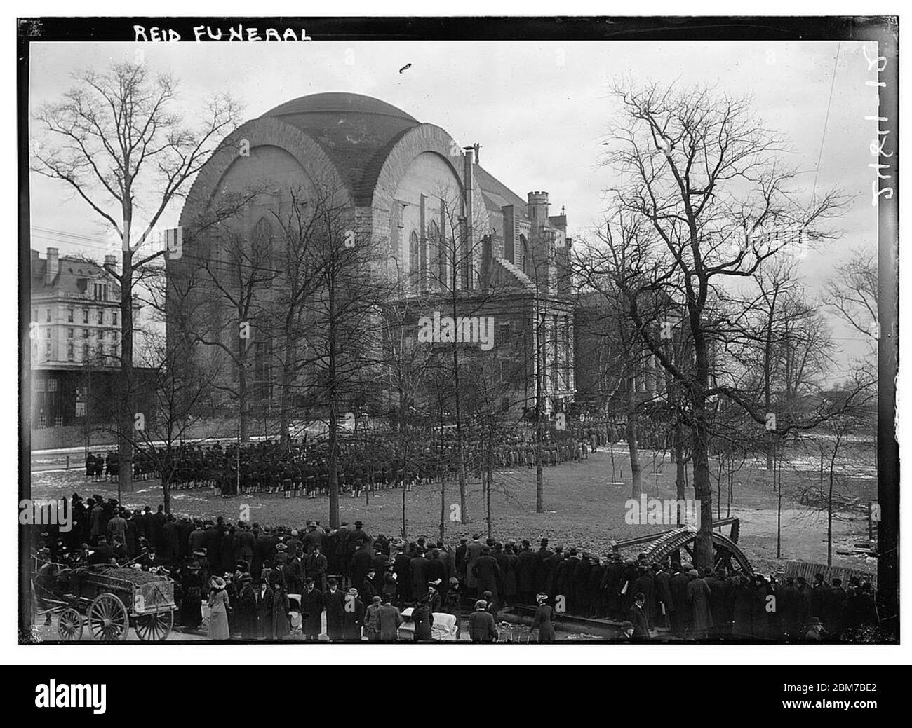 The reid Cut Out Stock Images & Pictures - Alamy