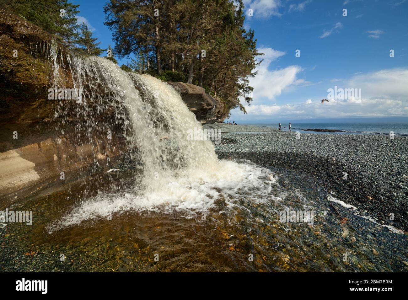 Jordan river vancouver island hi-res stock photography and images - Alamy
