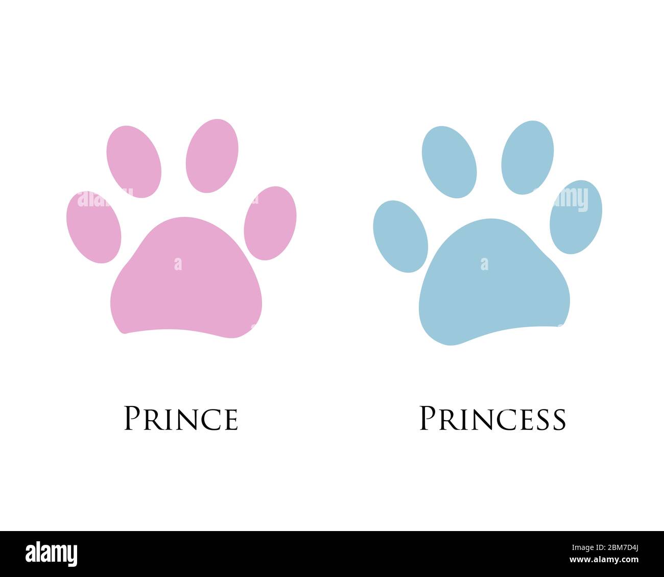 Boy dog ( paw or leg ) Cut Out Stock Images & Pictures - Alamy