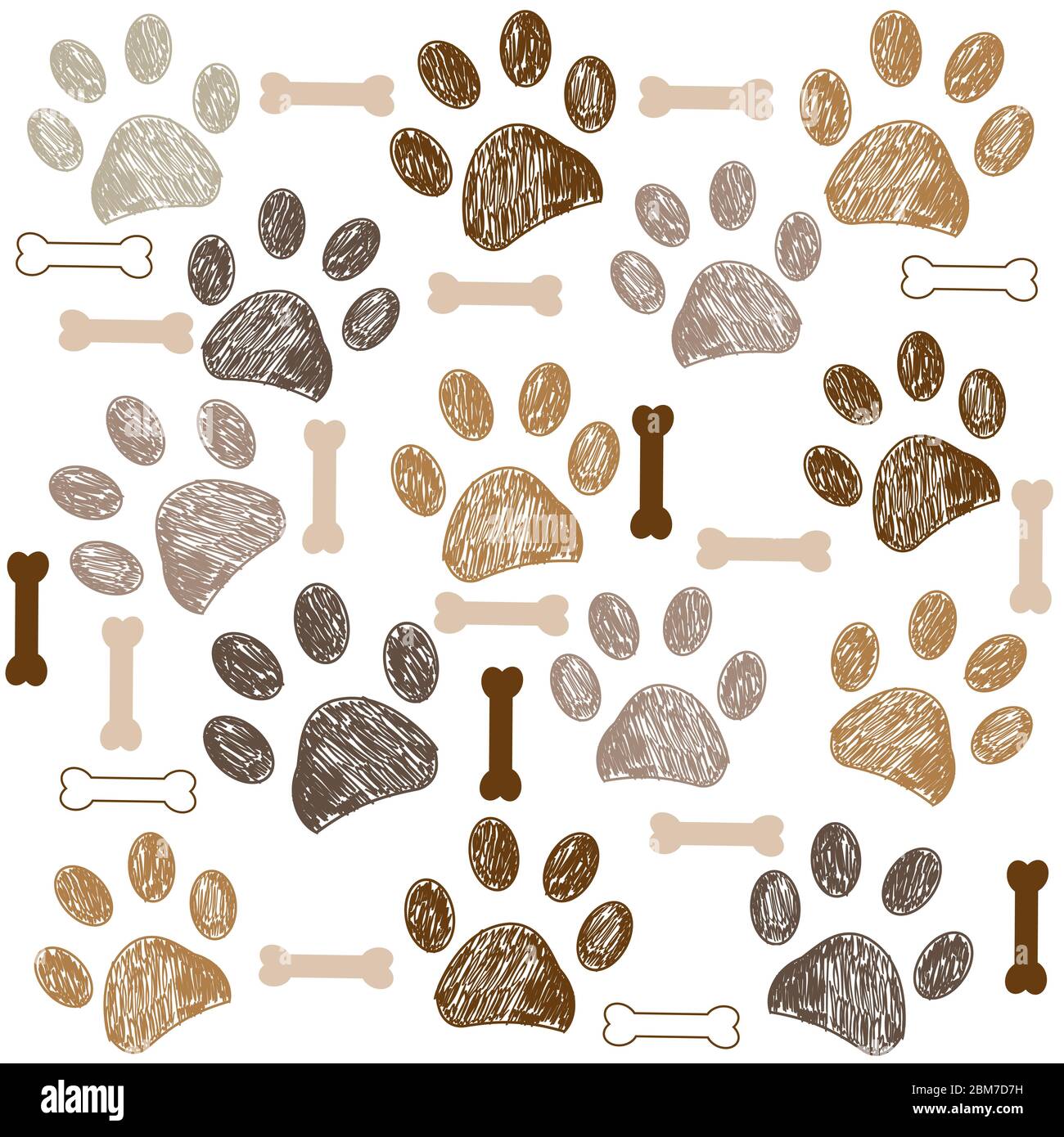 Colorful Paw Prints And Bones