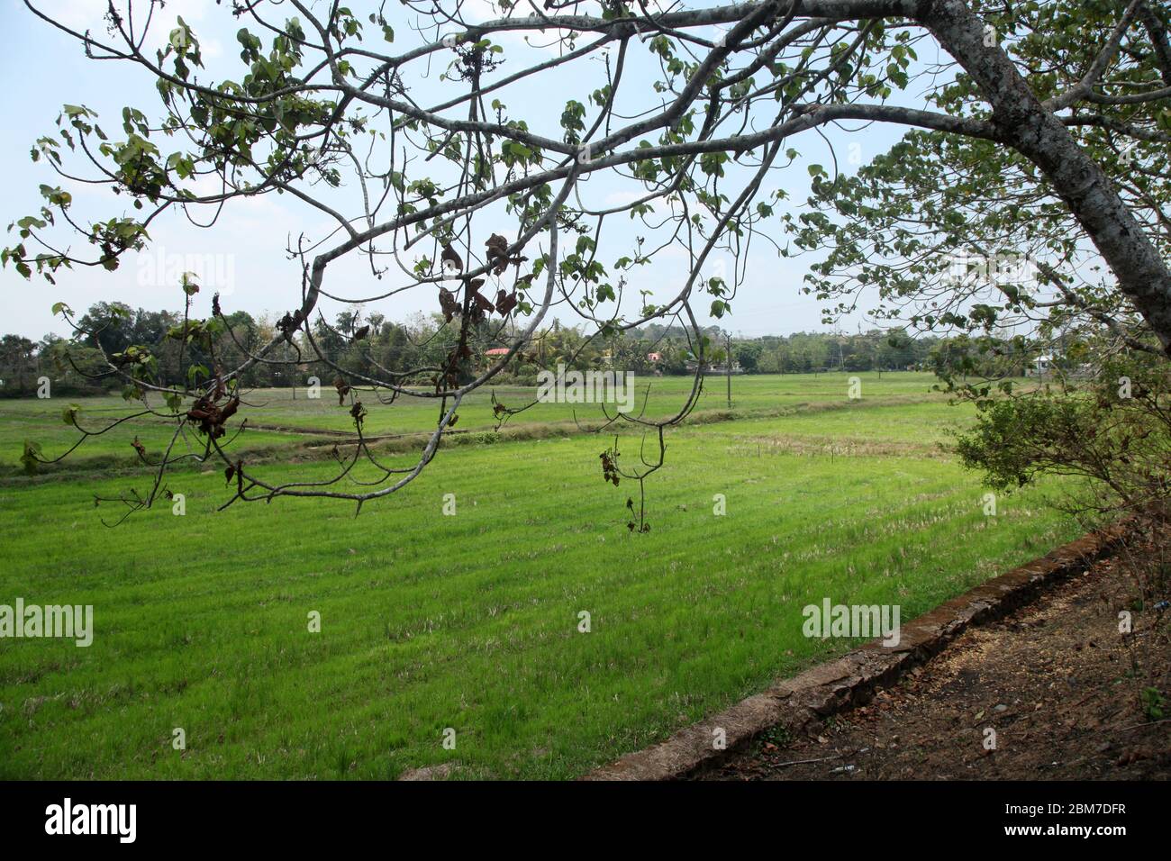 Indian village scene hi-res stock photography and images - Alamy