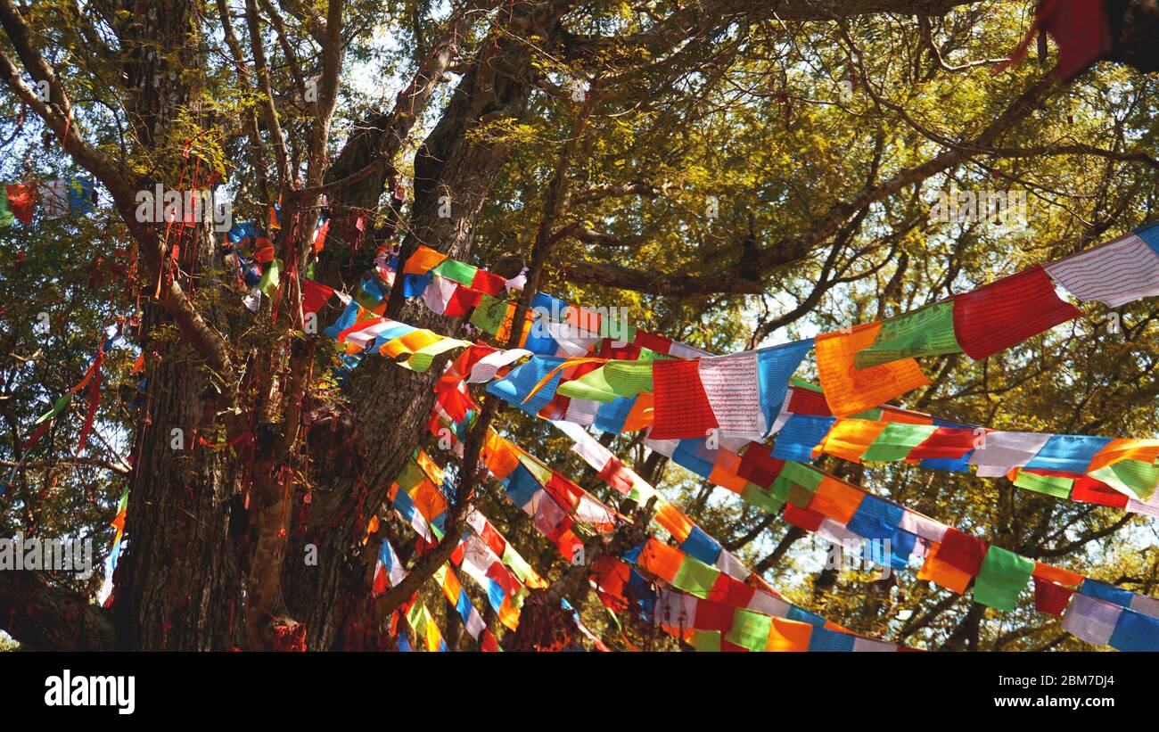 Large carnival banner hi-res stock photography and images - Alamy