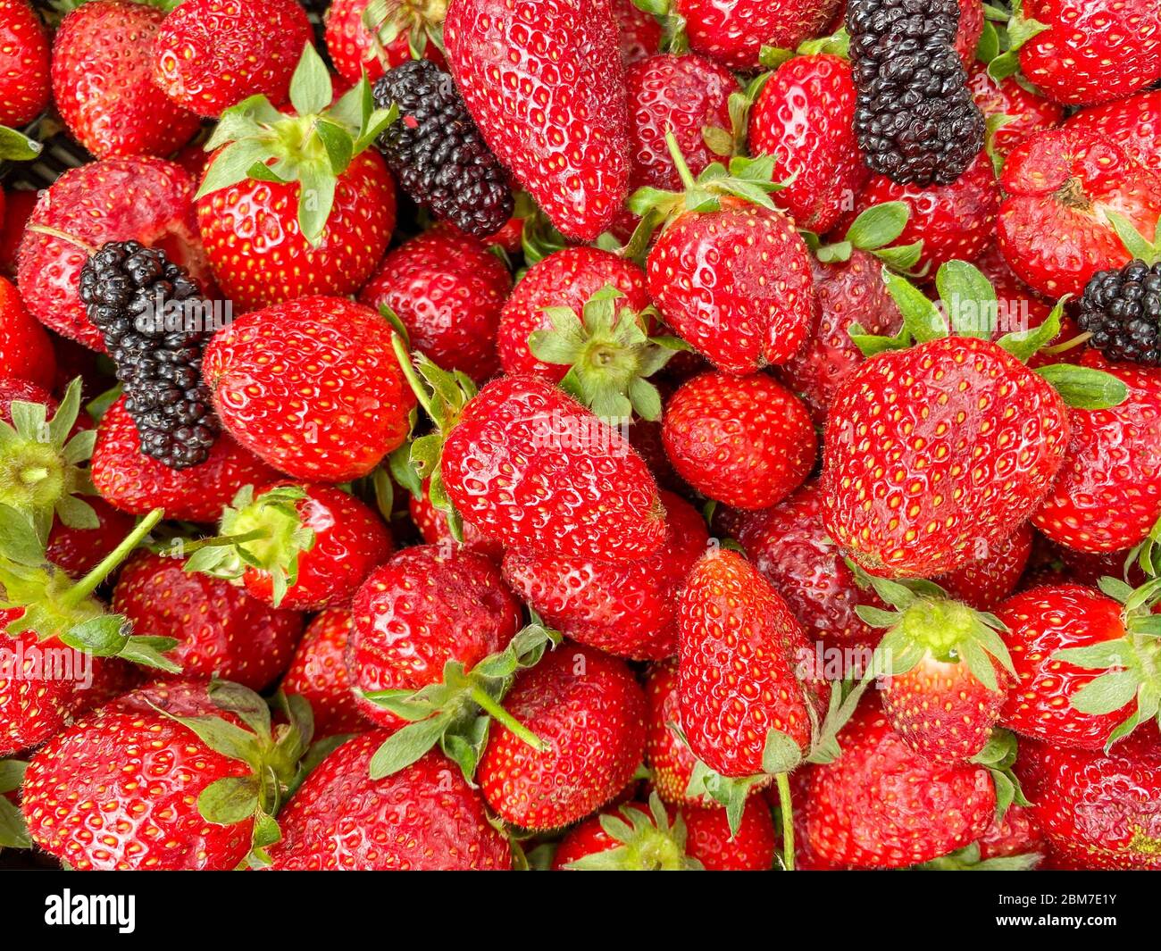 Fresh ripe perfect strawberry - Food Background. Crate of organic farm ...