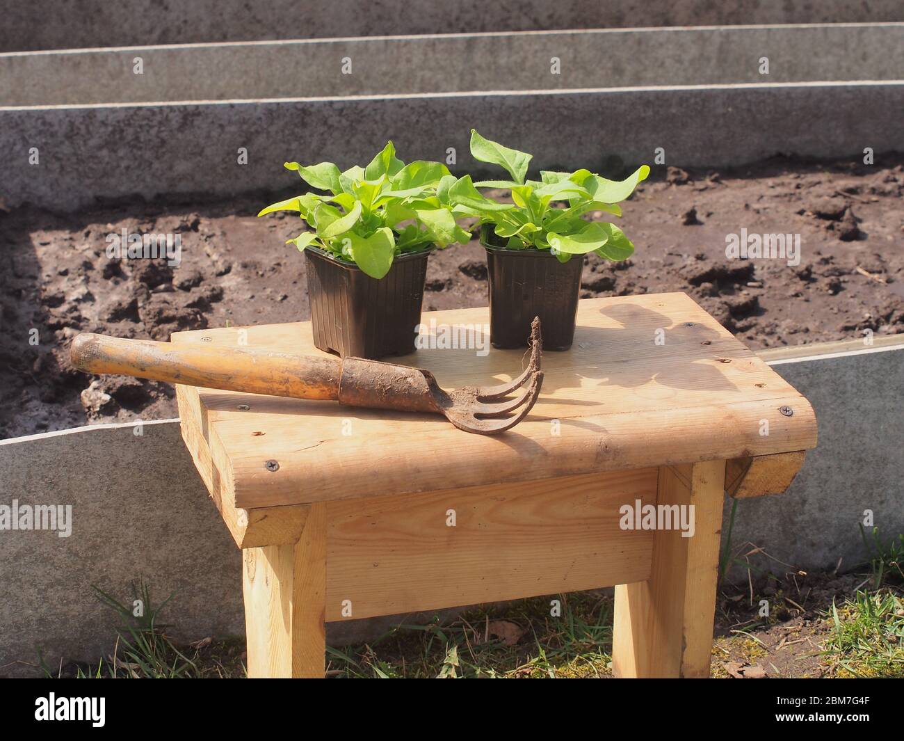 Hand Rake High Resolution Stock Photography and Images - Alamy