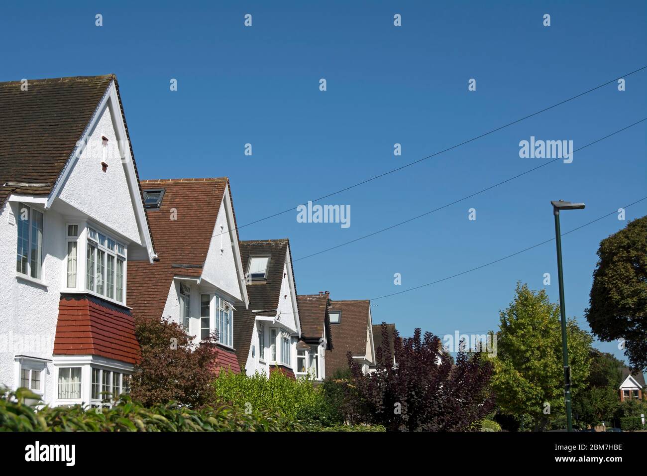 Privet hedge house hi-res stock photography and images - Alamy