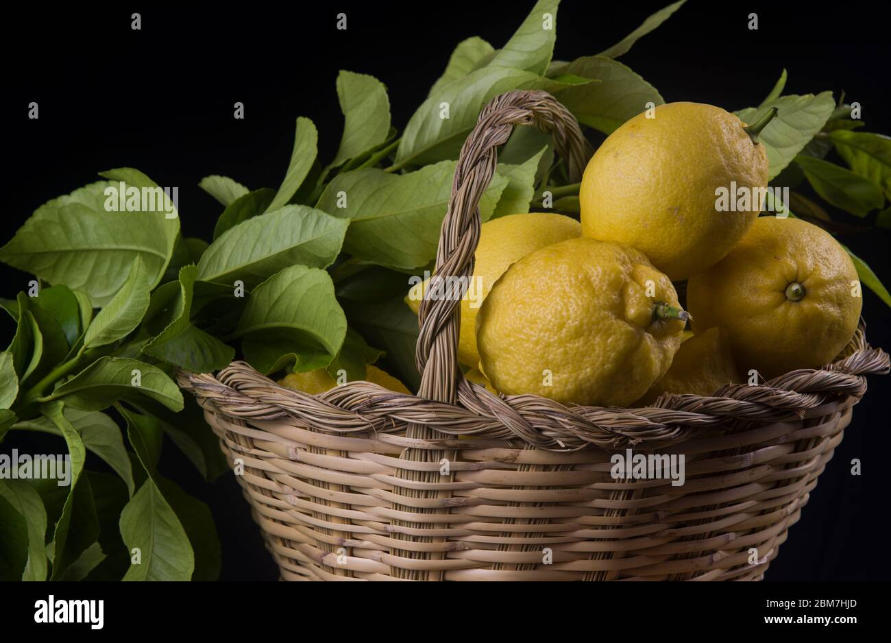 ripe organic lemons on cane basket Stock Photo - Alamy