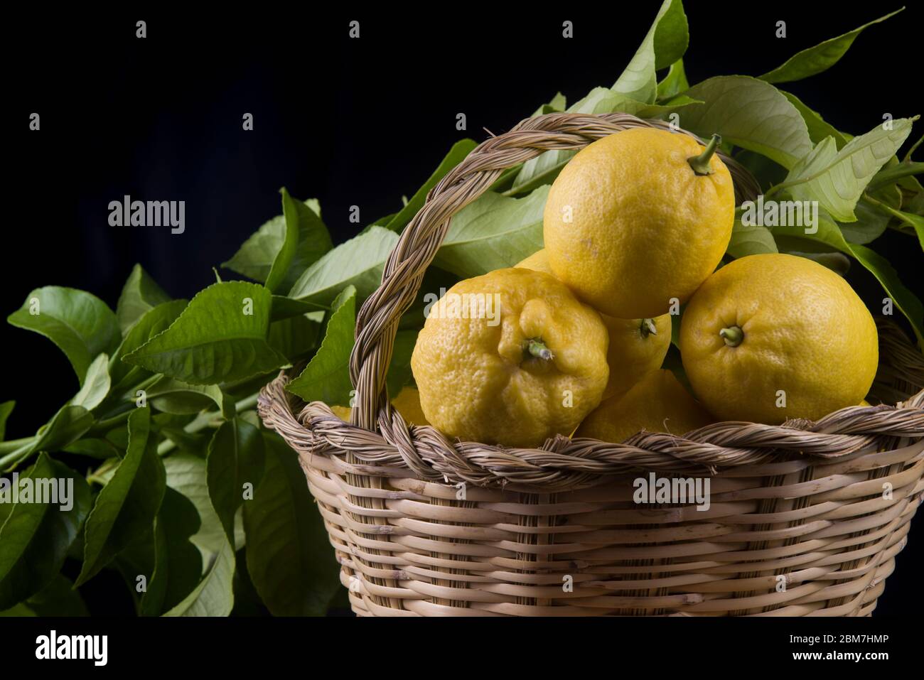 ripe organic lemons on cane basket Stock Photo - Alamy