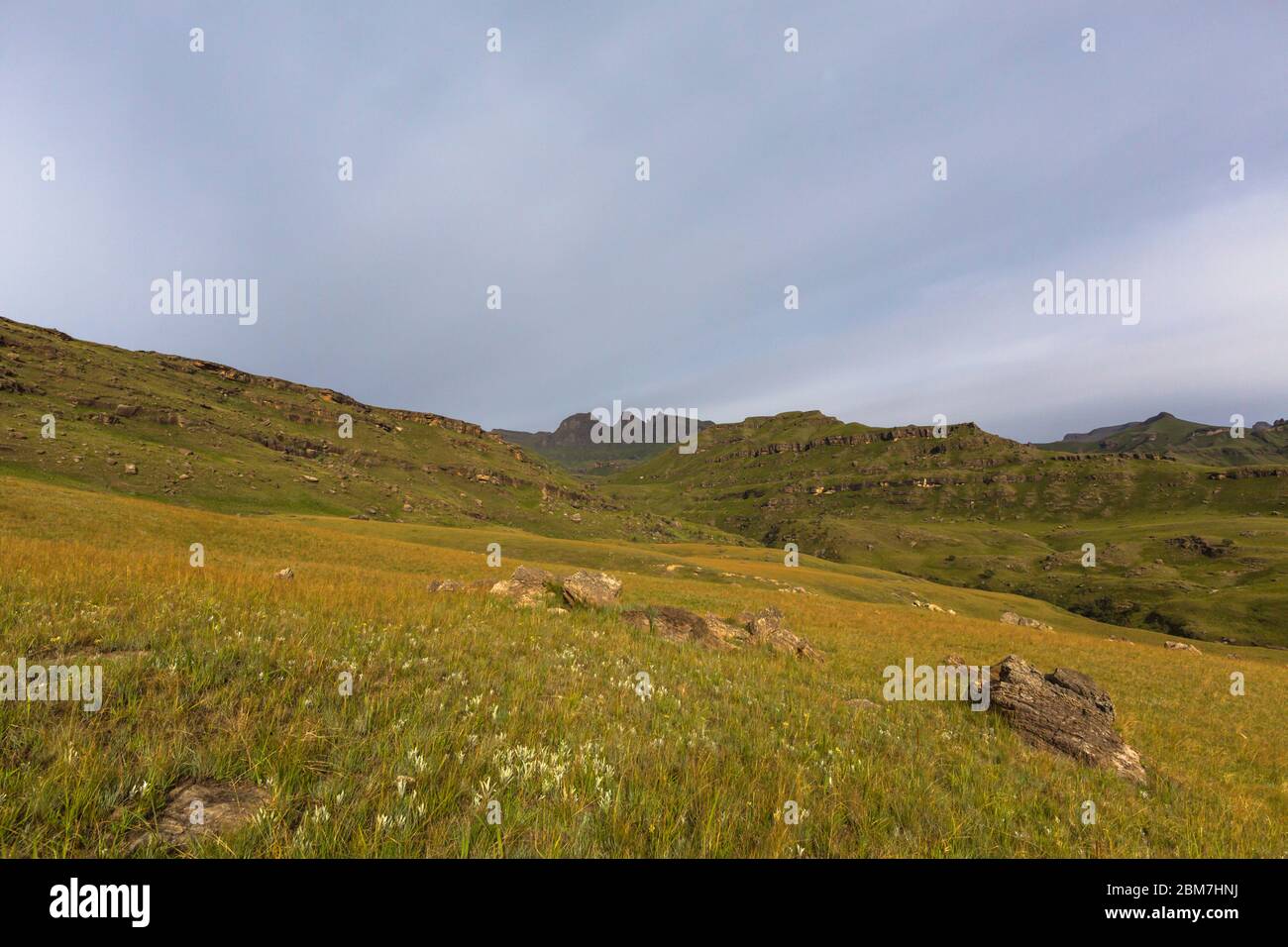 Green grass on a mountain slope Stock Photo - Alamy