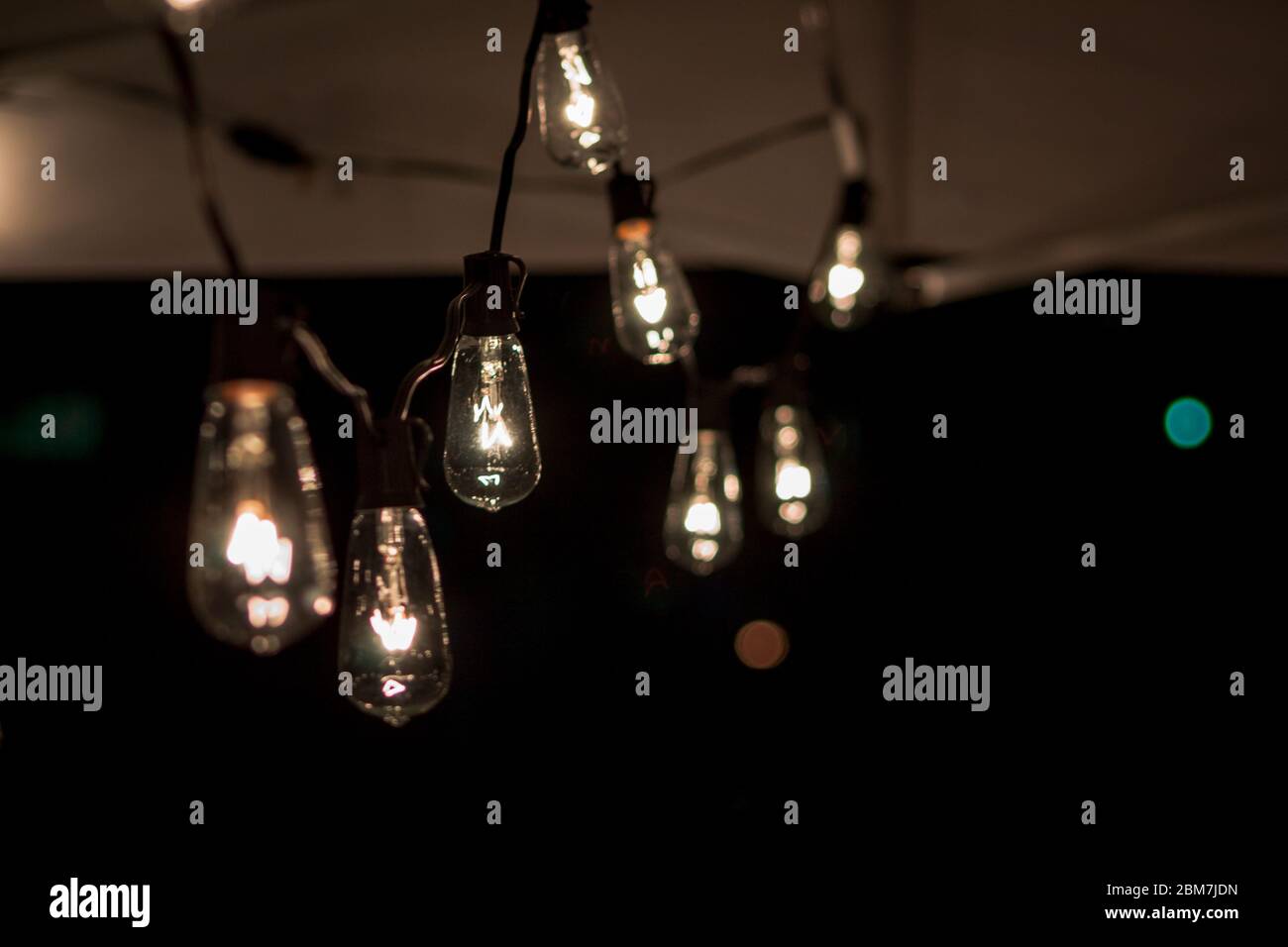 String of lightbulbs hanging from a tent at night Stock Photo - Alamy