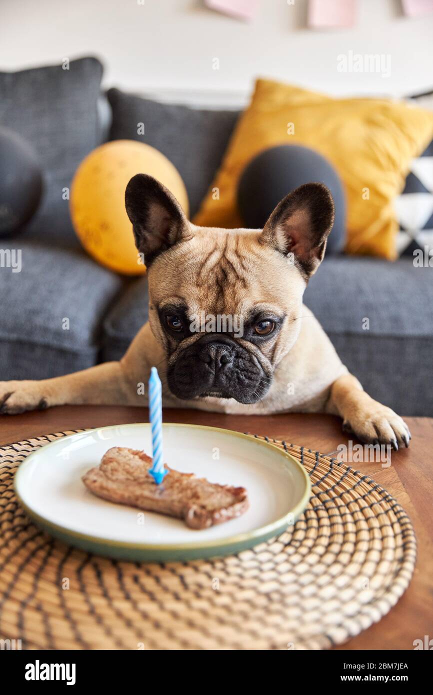Birthday bone hi-res stock photography and images - Alamy
