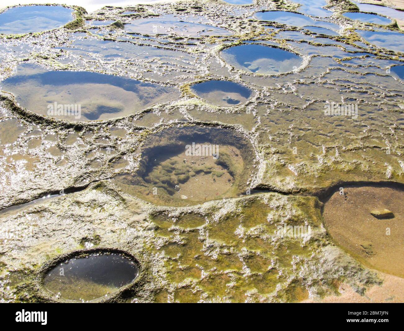 Potholes of various shapes in beach rock, in the tidal zone of the east ...