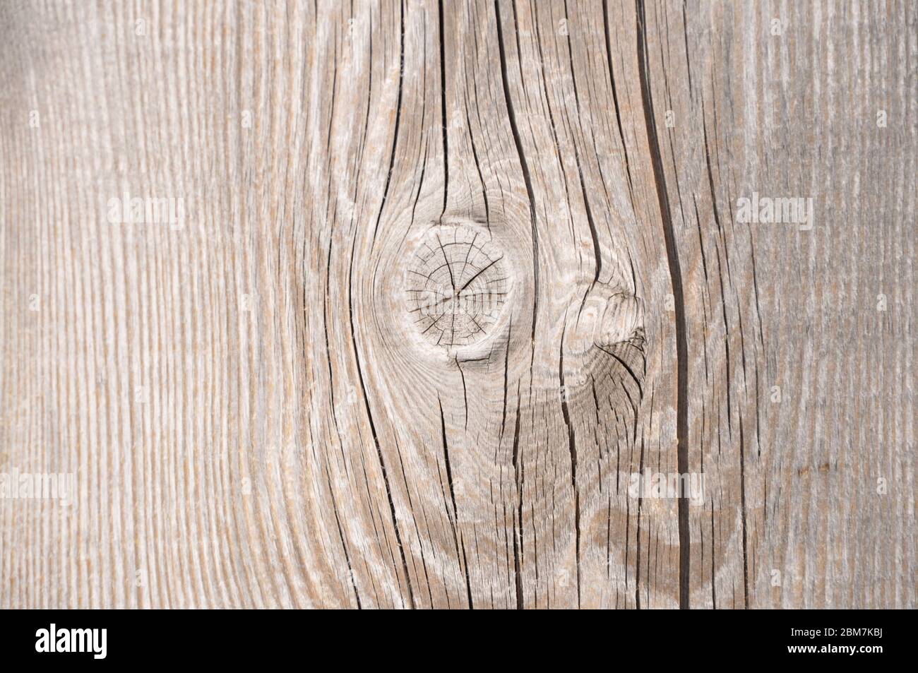 Wooden desk knot. Wood texture plank grain timber background.Knot on a ...