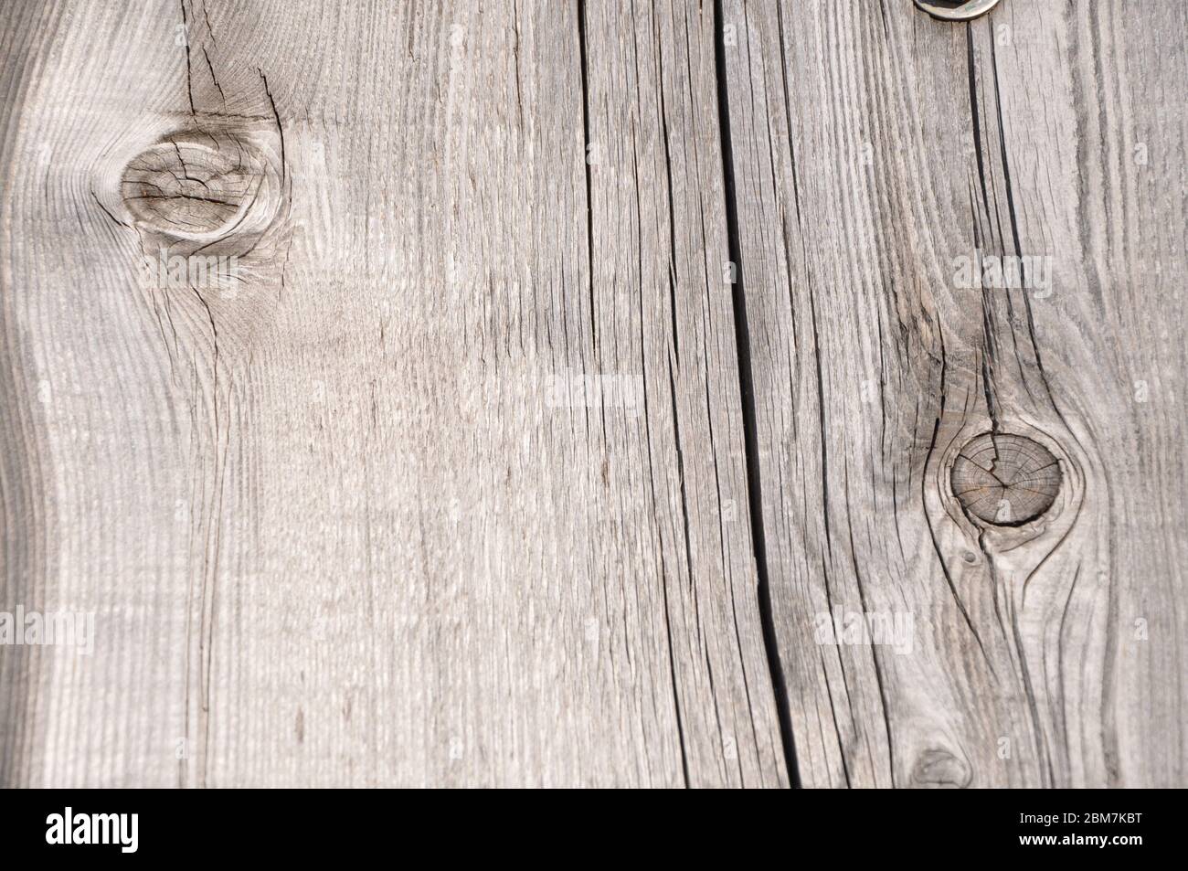 Wooden desk knot. Wood texture plank grain timber background.Knot on a ...