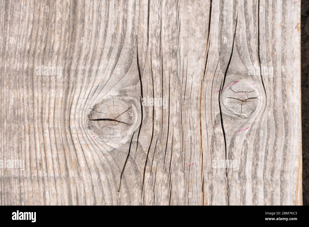 Wooden desk knot. Wood texture plank grain timber background.Knot on a ...