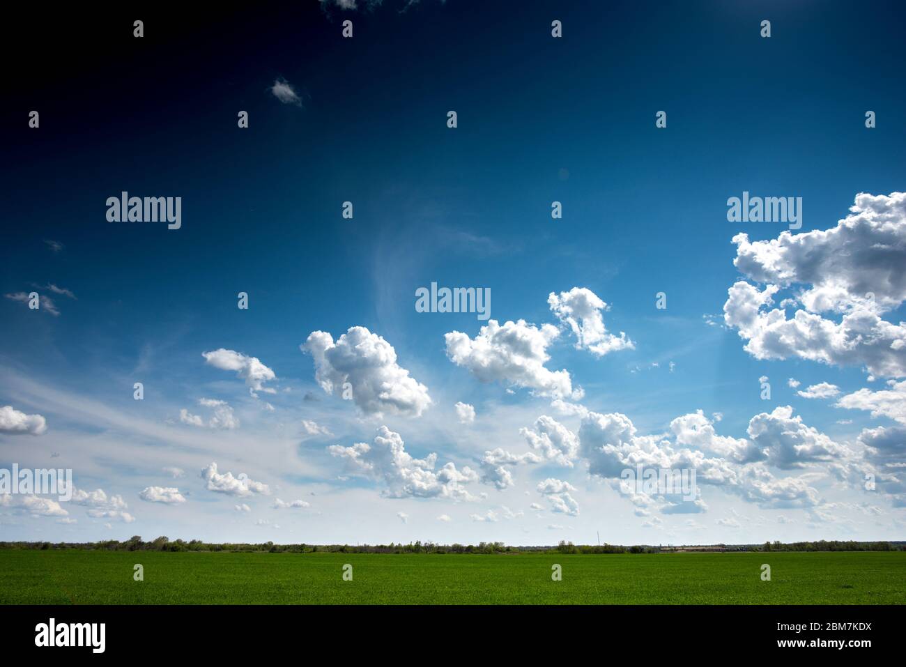 Clouds and grass field hi-res stock photography and images - Alamy