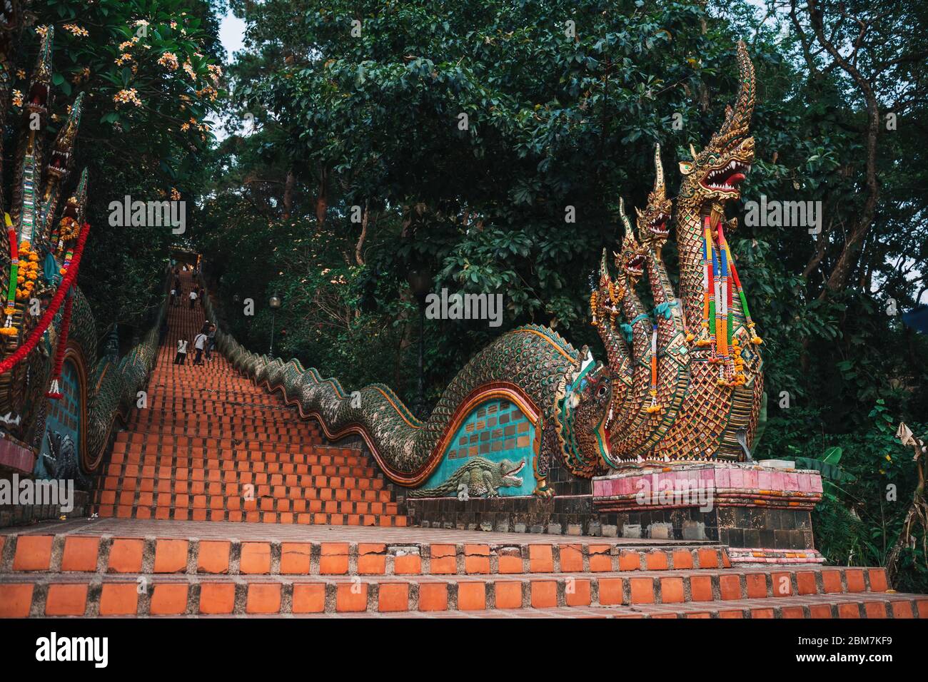 Traditional dragon architecture stairs to buddhist temple in Chiang Mai ...